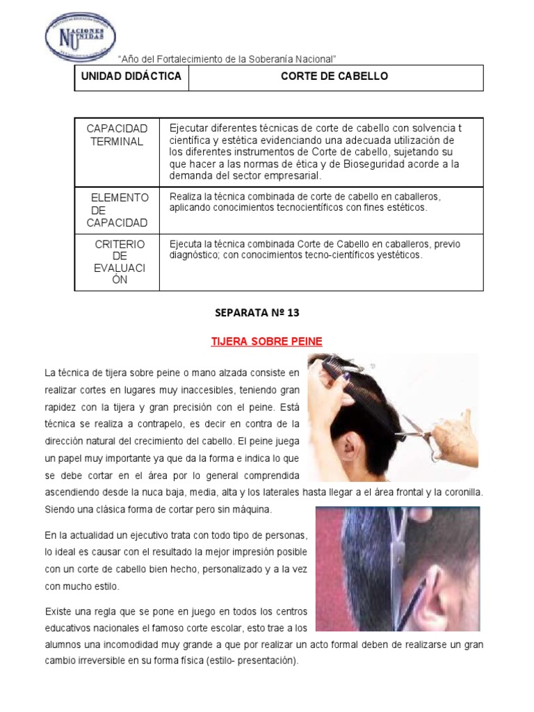 Separata #13 Corte de Cabello | PDF