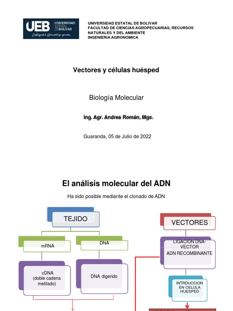 Biologia Adjuntado 10 - 14 | PDF | Northern Blot | Plásmido