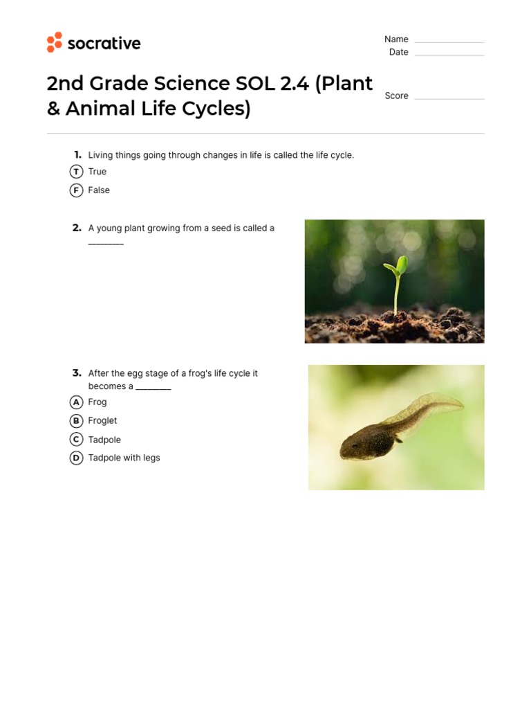 Quiz 2nd Grade Science Sol 2 | PDF | Foreign Language Studies | Home & Garden