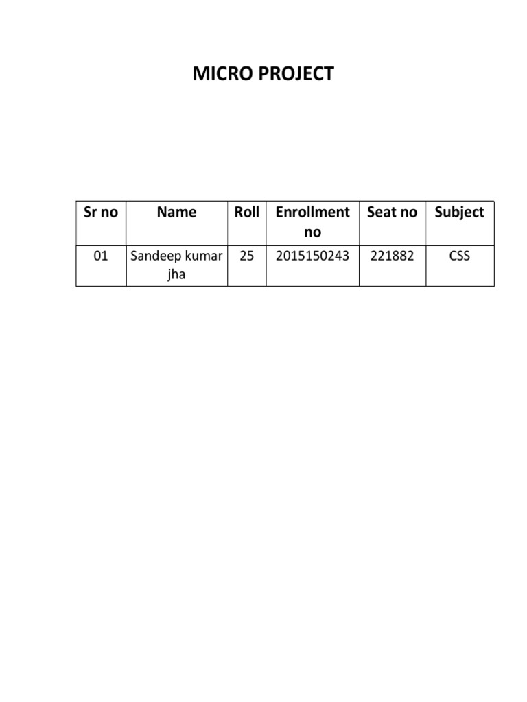 Css Micro Project | PDF