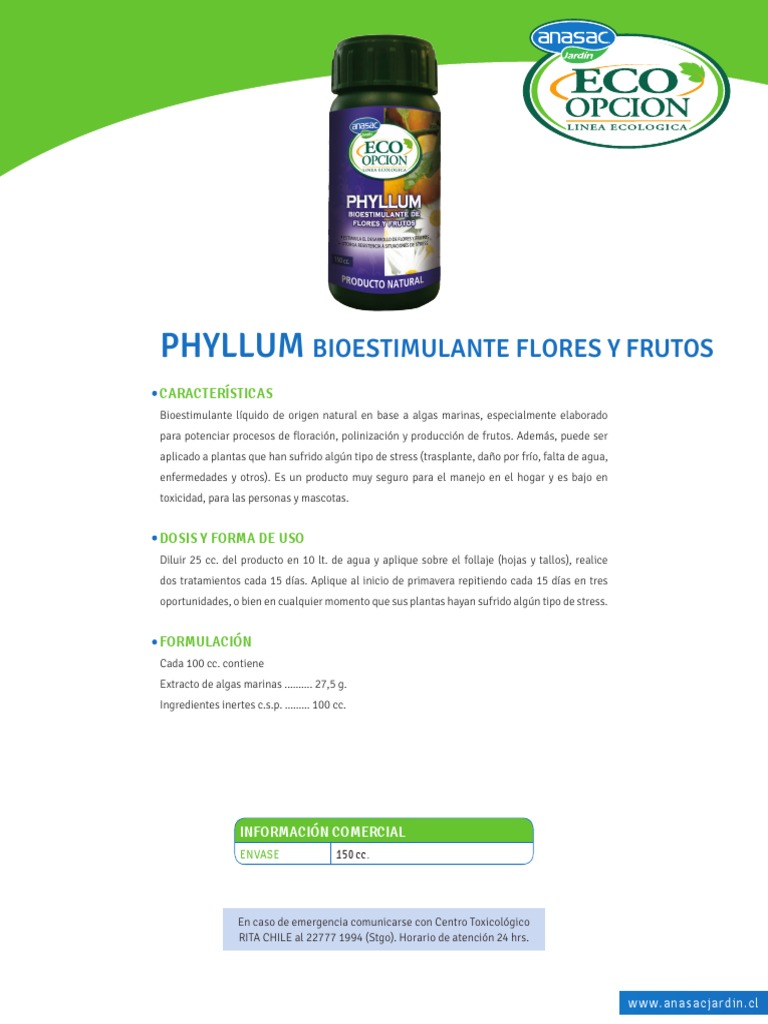 Ficha Phyllum | PDF