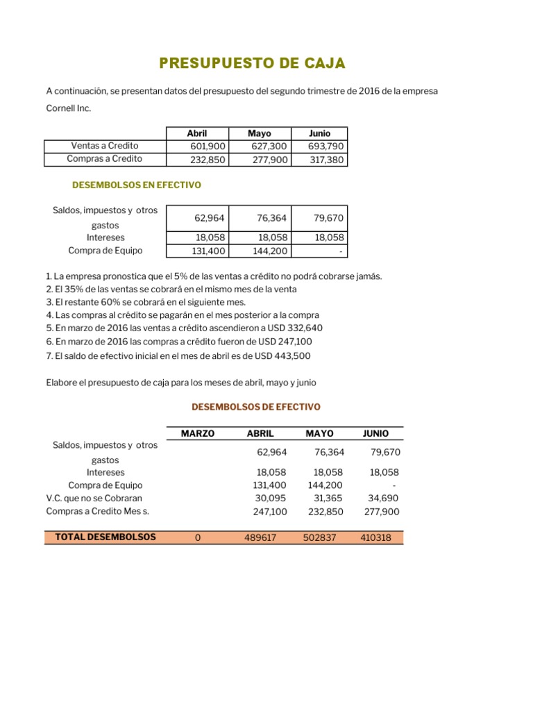 Presupuesto de Caja - ER. Proforma | PDF | Presupuesto | Estado de resultados