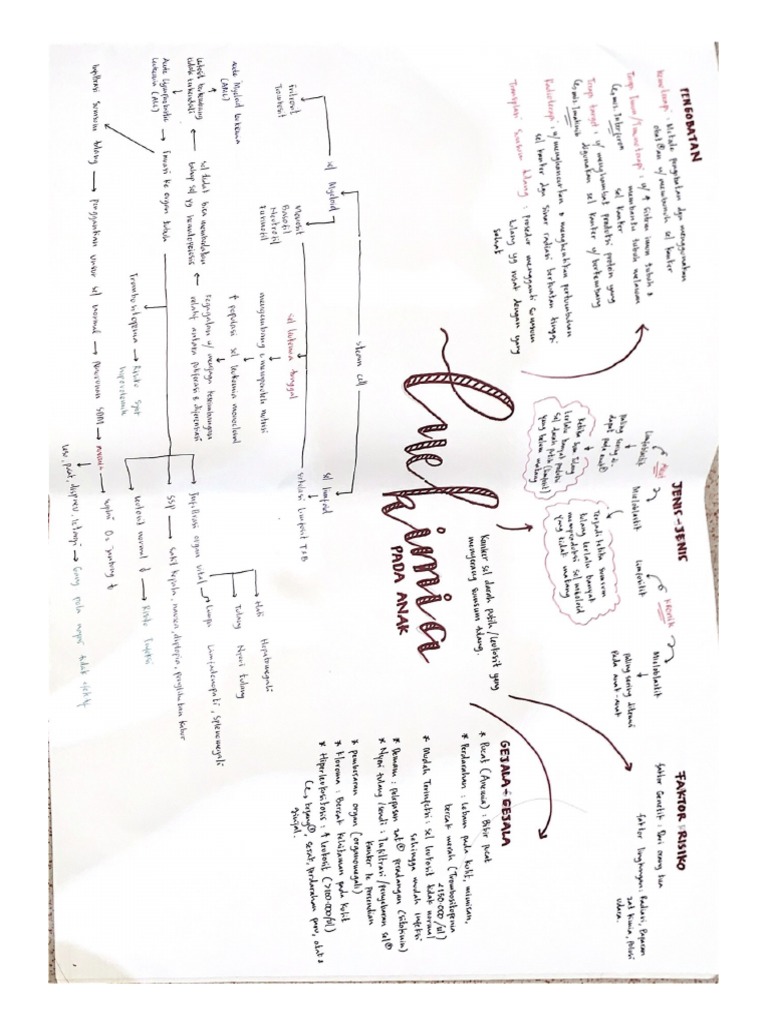 Mind Map Leukemia Pada Anak - Pipit Mariani Muhtar - R014221012 | PDF