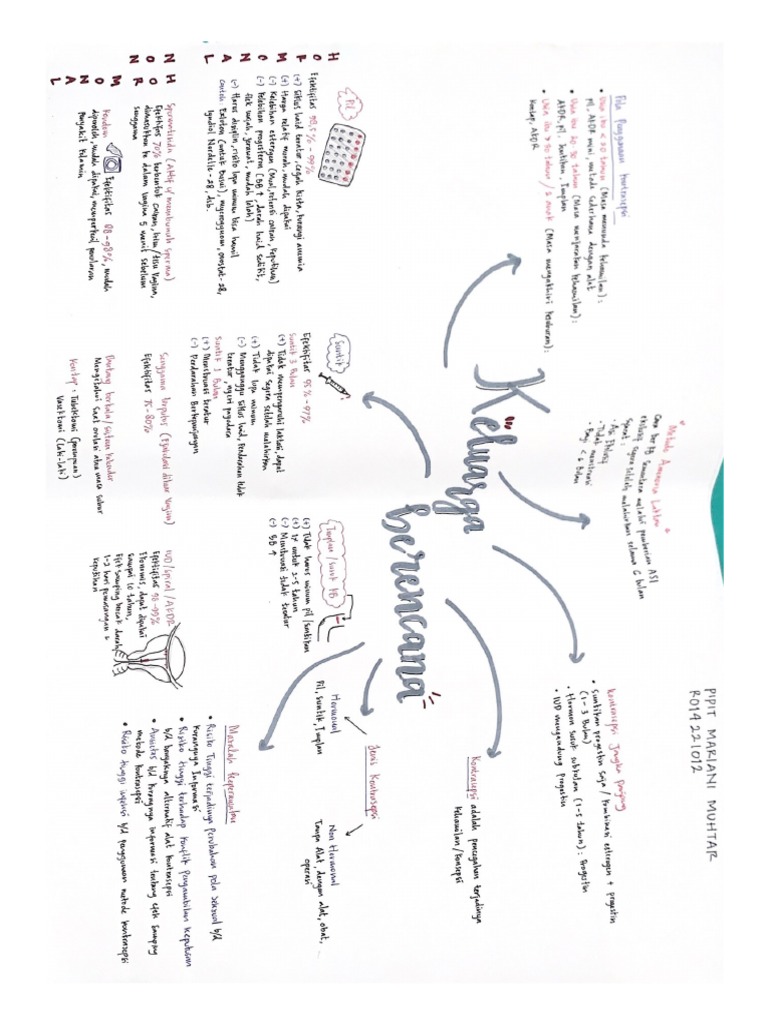 Mind Map KB - Pipit Mariani Muhtar - R014221012 | PDF