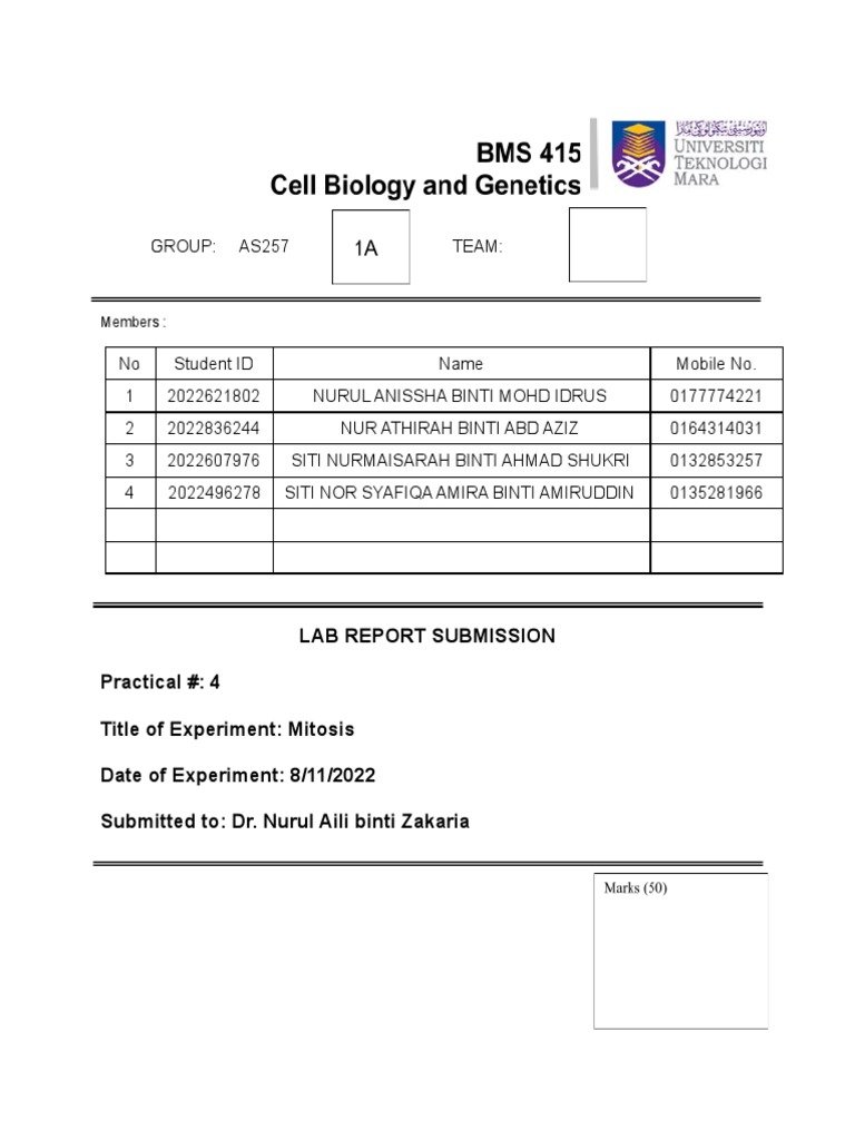 Bms415 Lab Report 4 | PDF | Mitosis | Genetics