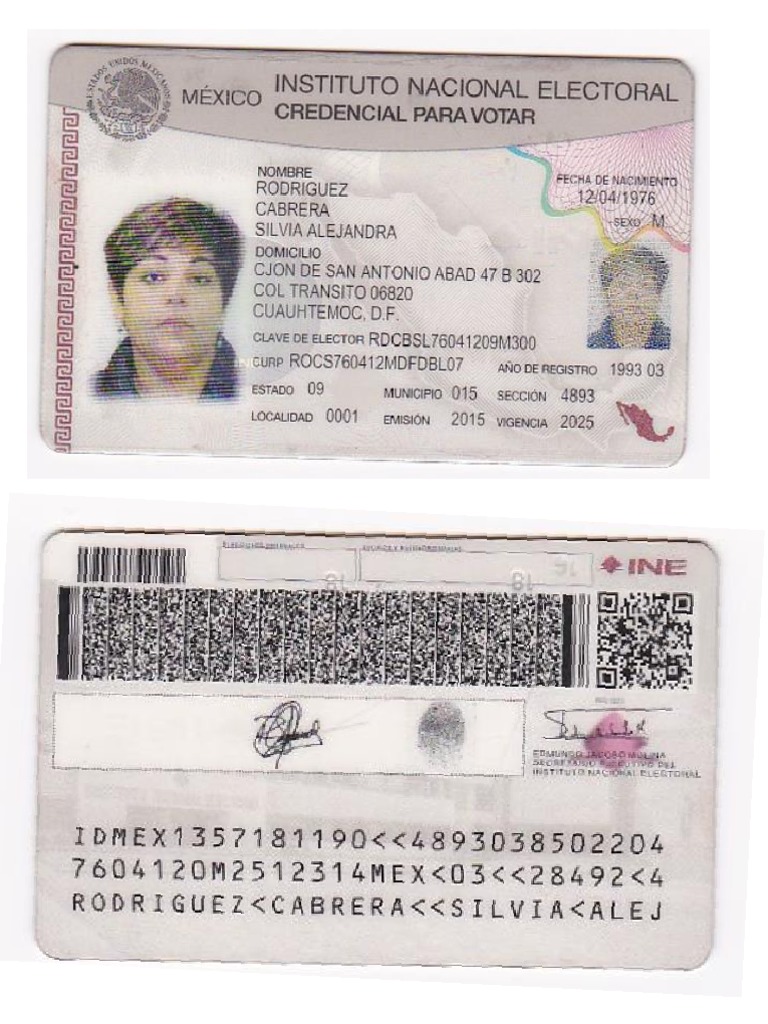 Ife Silvia Rodriguez | PDF