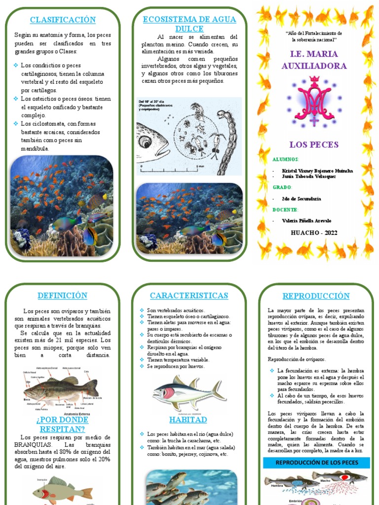 Triptico Los Peces | PDF | Pescado | Tiburones