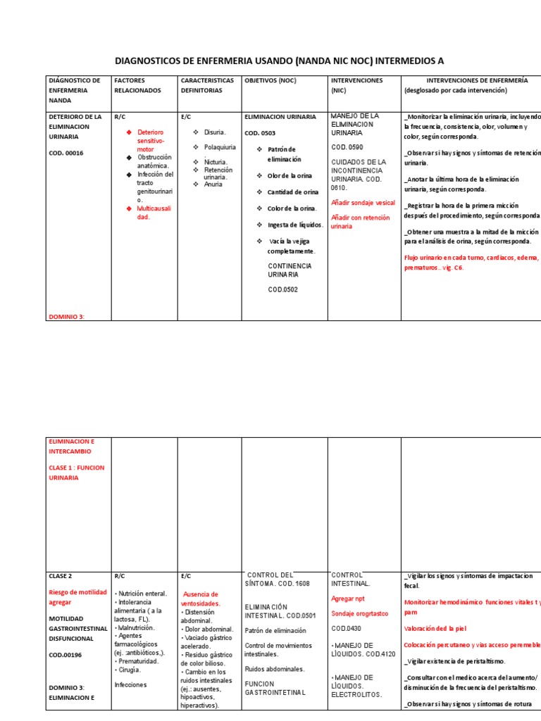 Modelo de Presentacion de Diagnosticos de Enfermeria Usando | PDF ...