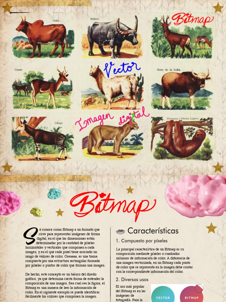 Bitmap - Imagen Digital | PDF | Píxel | Adobe Photoshop