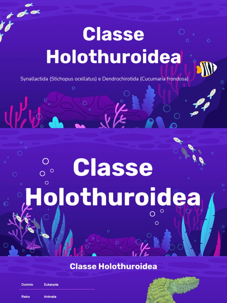 Classe Holothuroidea | PDF | Organismos | Eucariotas