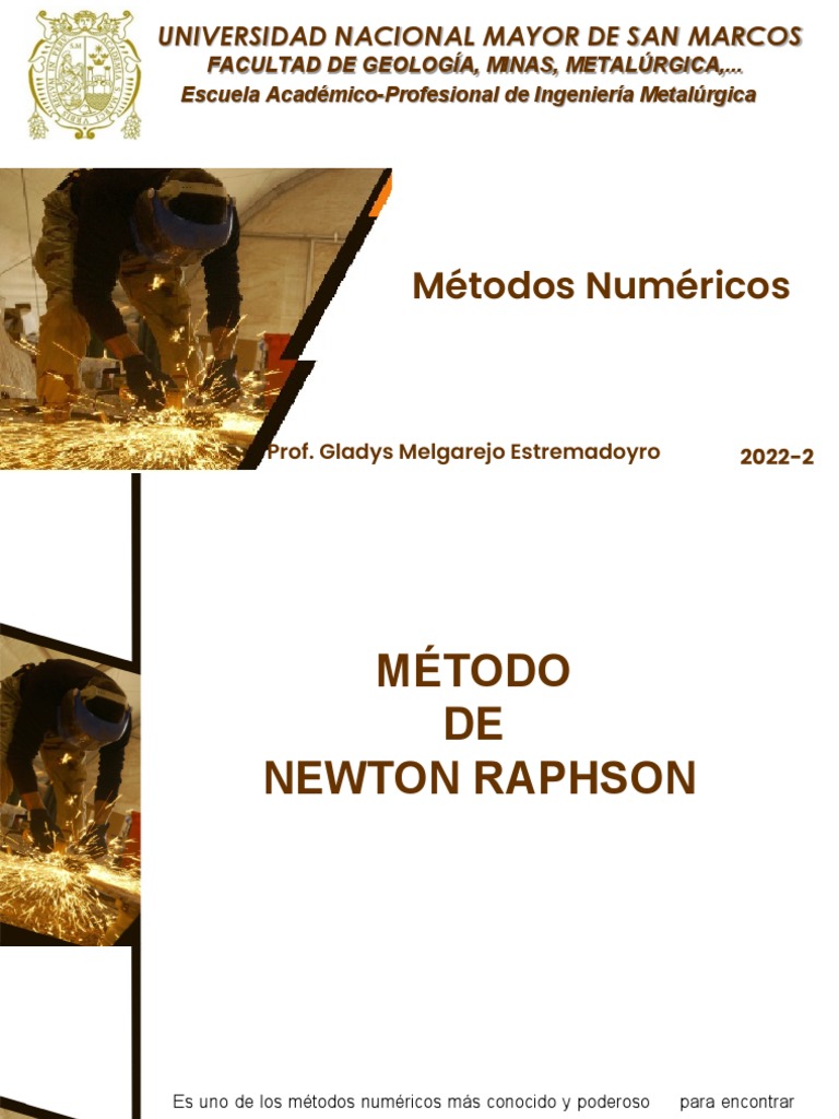 Clase 4 2022 2 Newton Raphson | PDF | Matemáticas | Conceptos matemáticos