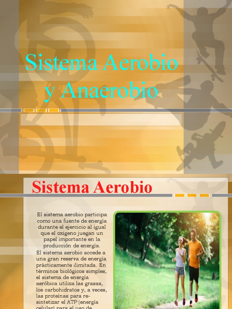 Sistema Aerobio y Anaerobio | PDF