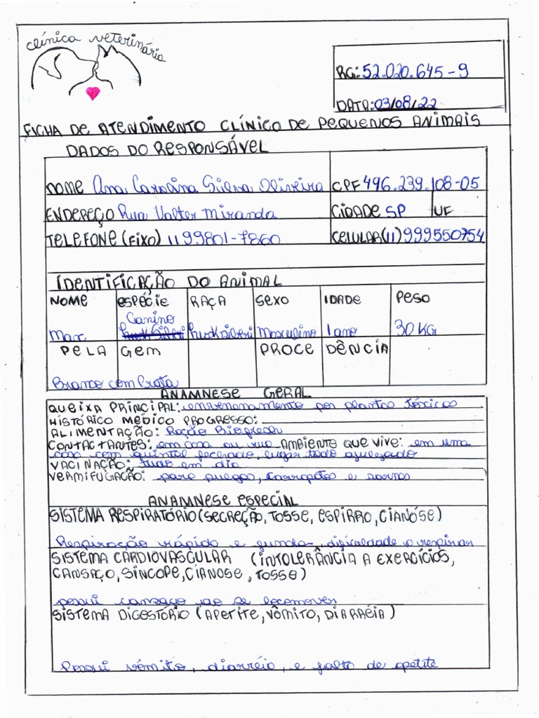 Atividade - Prontuário (Exemplo) | PDF