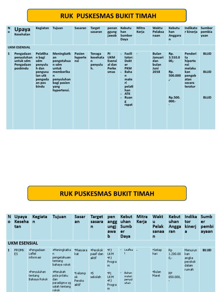 Cara Membuat Ruk Dan RPK | PDF