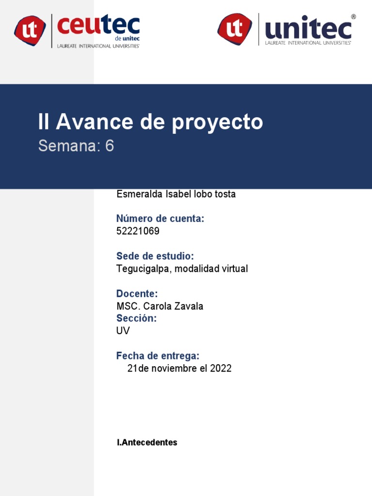 Segundo Avance Proyecto Final - 52221069 | PDF | Auditoría | Farmacia