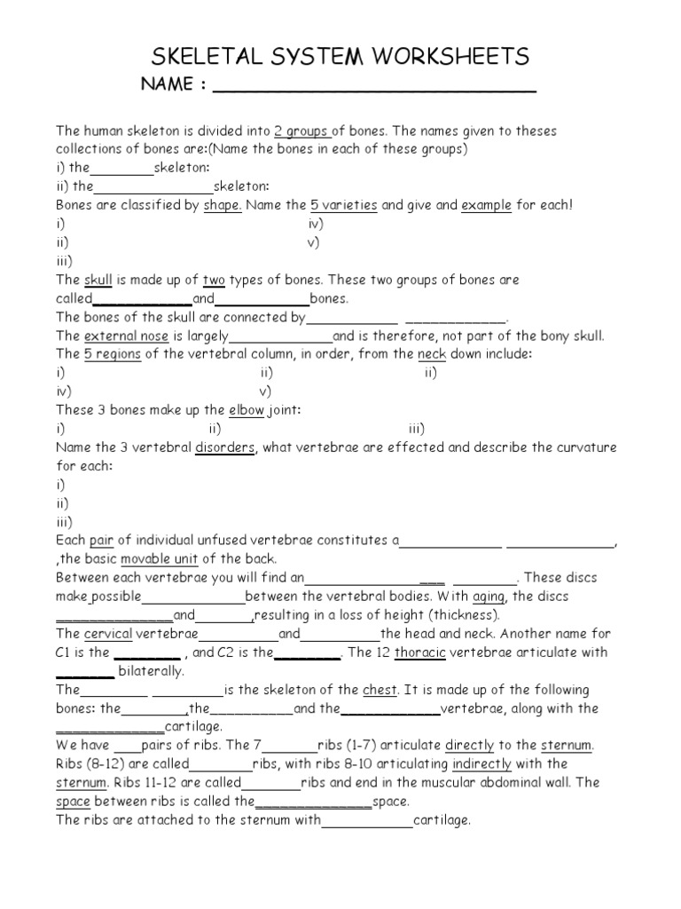 Skeletal System Worksheets | PDF | Vertebra | Skeleton