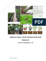 Ragdoll Method | PDF | Seed | Germination