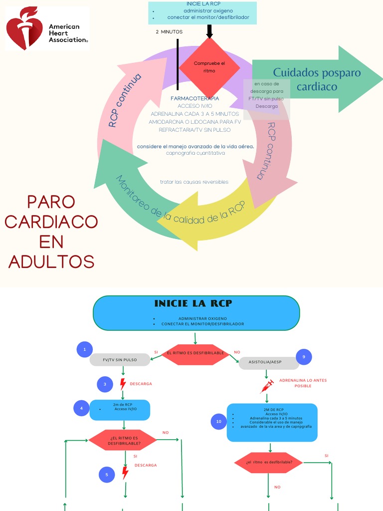 Todos Los Algoritmos | PDF | Reanimación cardiopulmonar | Especialidades Medicas
