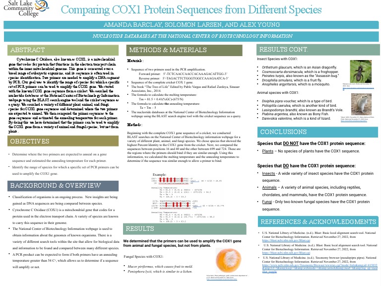 Genetics Project Poster-1 | PDF | Primer (Molecular Biology) | Dna ...