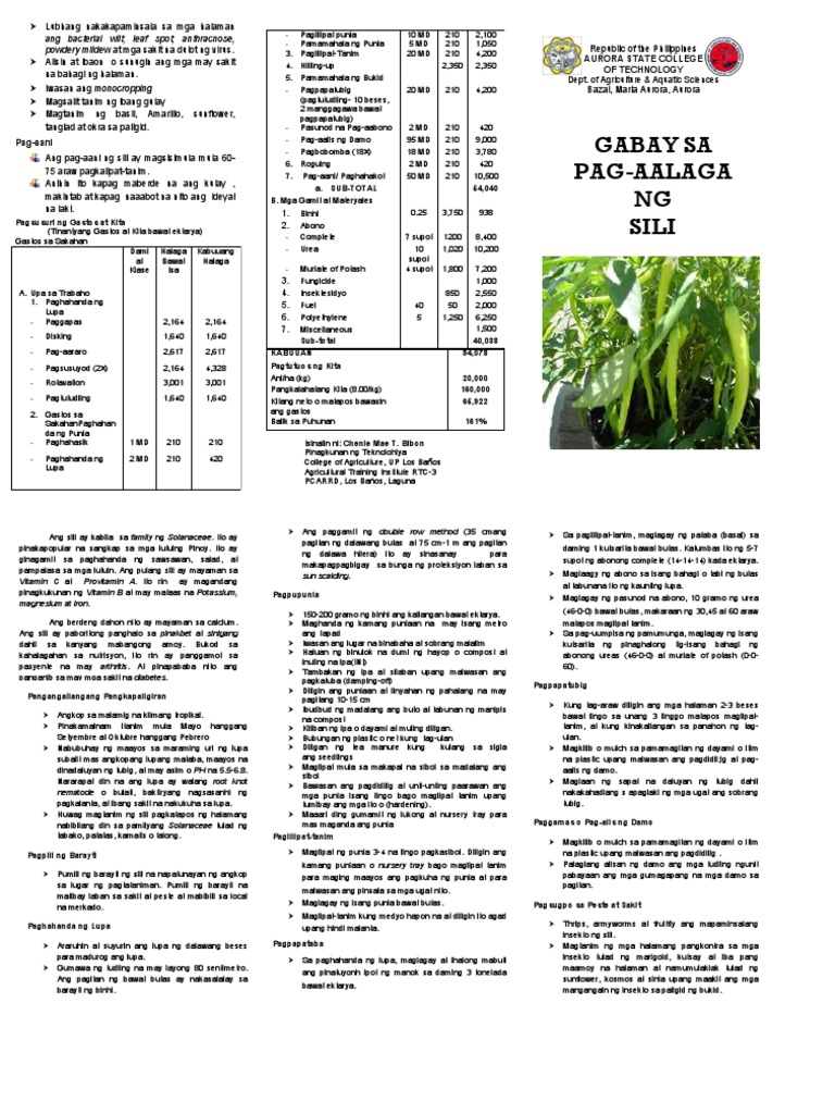 3 SILI Revised | PDF