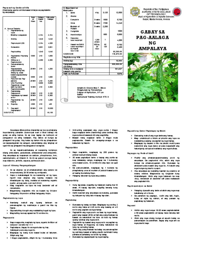 1 Ampalaya Revised | PDF