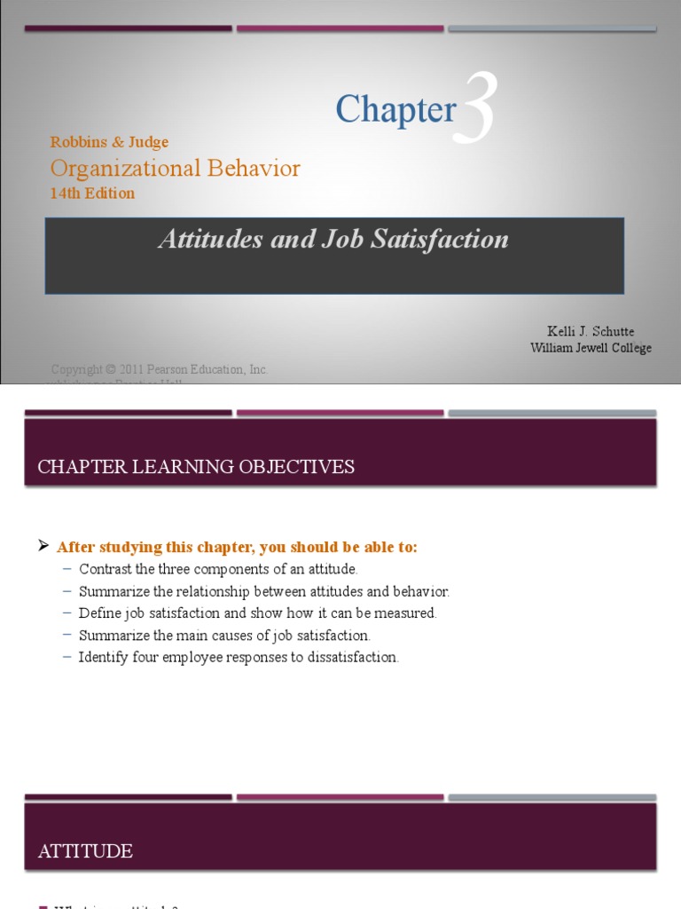 Chapter 3 | PDF | Job Satisfaction | Attitude (Psychology)
