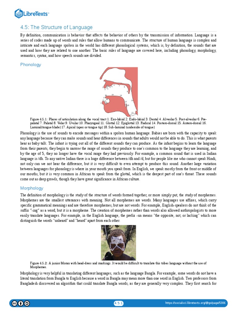 4.5 The Structure of Language | Download Free PDF | Syntax | Phoneme