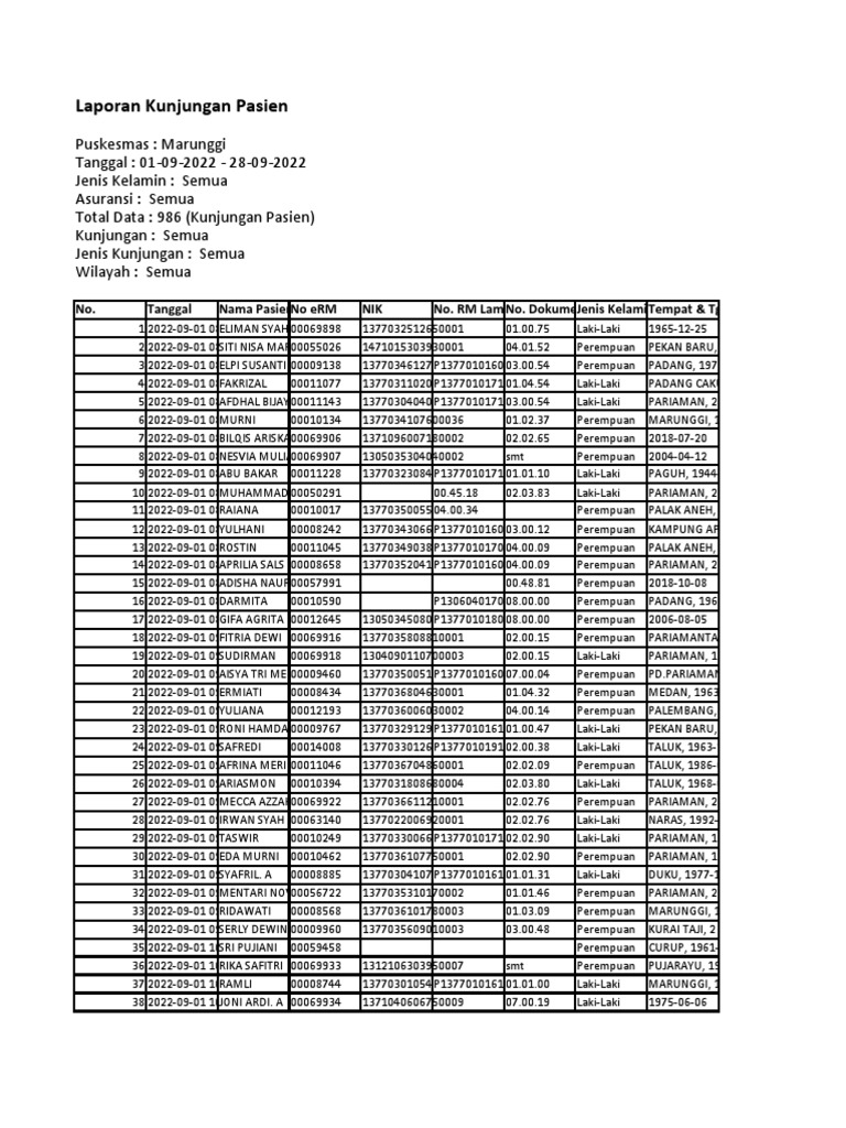 Laporan Kunjungan Pasien | PDF
