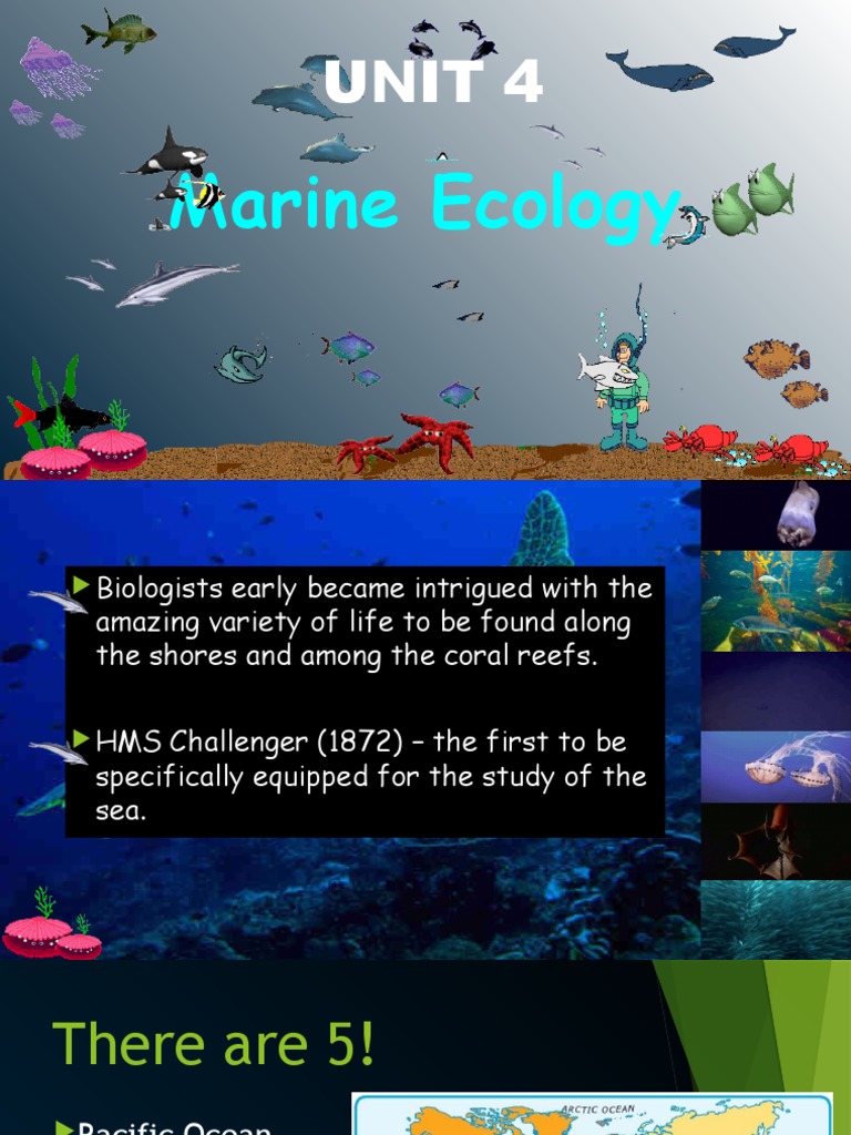 Marine Ecology Document Summary | PDF | Estuary | Coral Reef