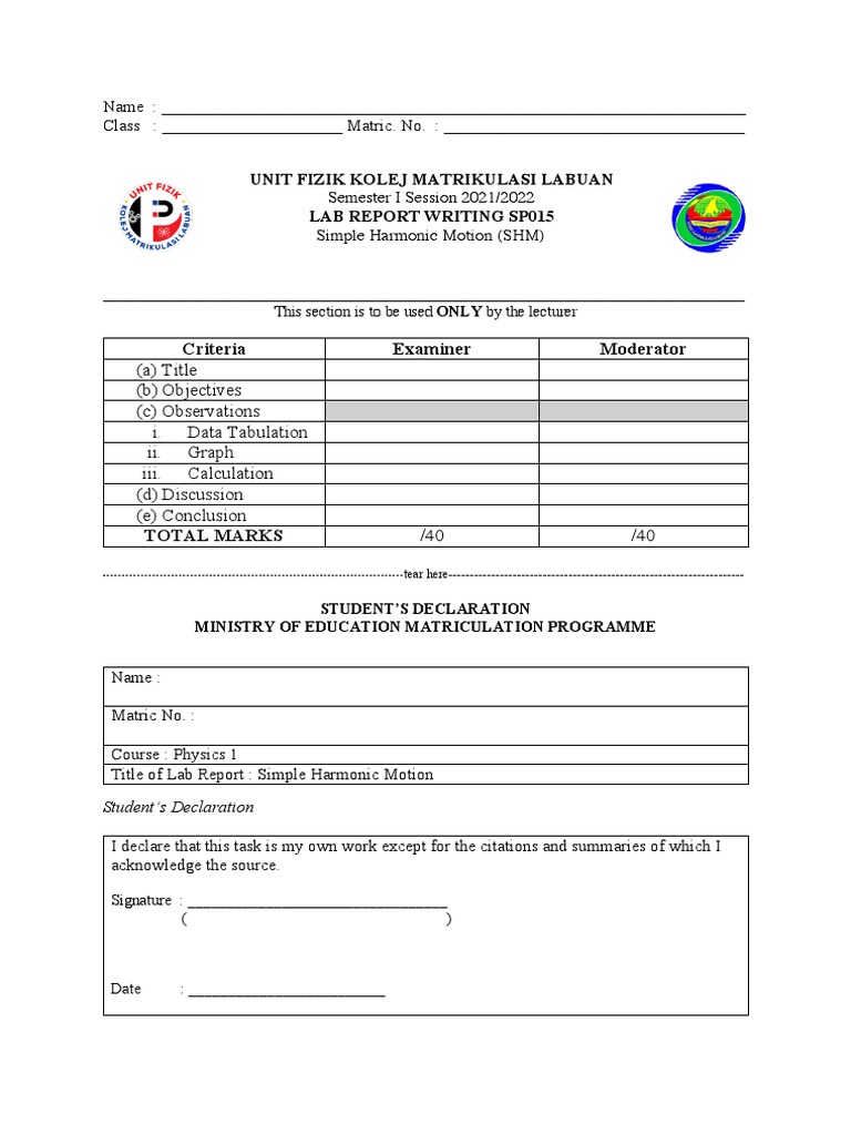 Lab Report SHM Cover | PDF