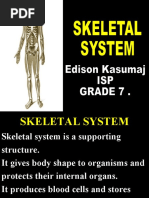 Grade10 HumanSkeleton Test and Memo | PDF | Bone | Skeleton
