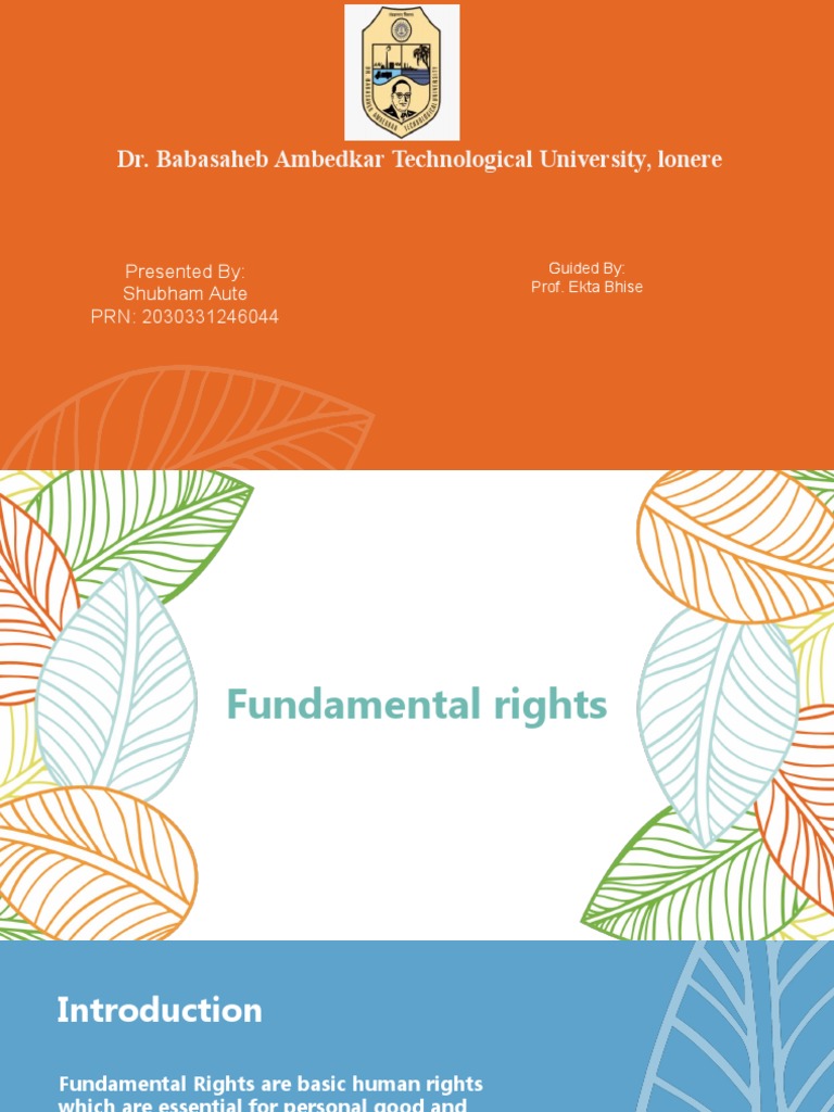 Fundamental Rights | PDF | Government | Rights