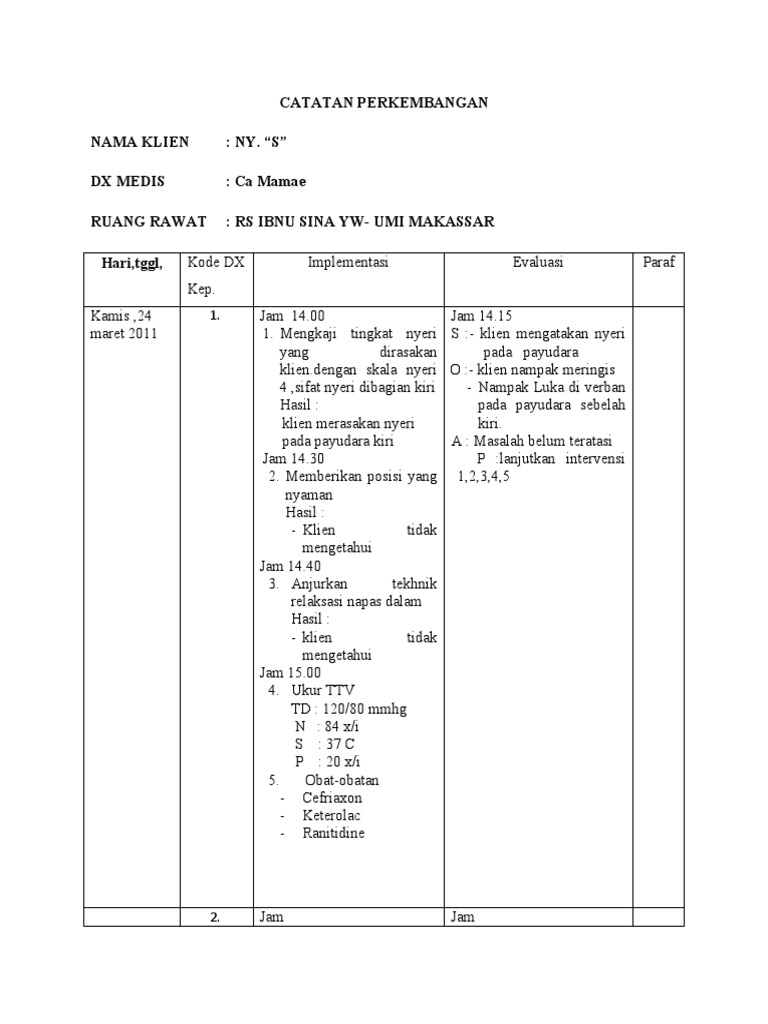 Catatan Perkembangan | PDF