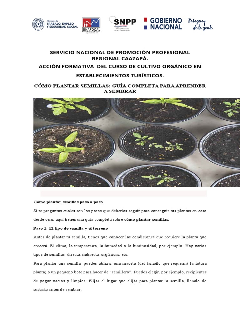Sembrar Semillas Pdf Siembra Fertilizante