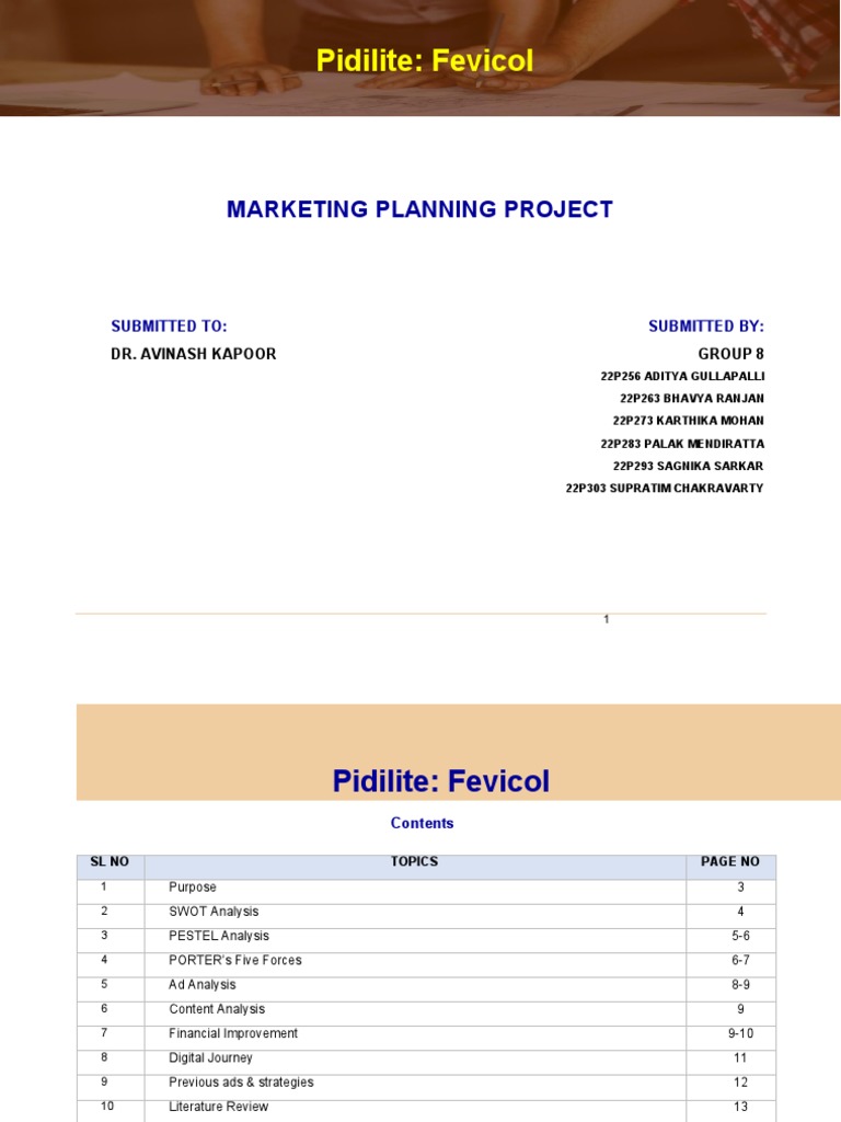 Group8 MP Project | PDF | Brand | Consumer Behaviour