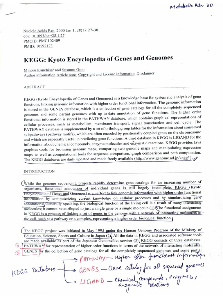 KEGG | PDF