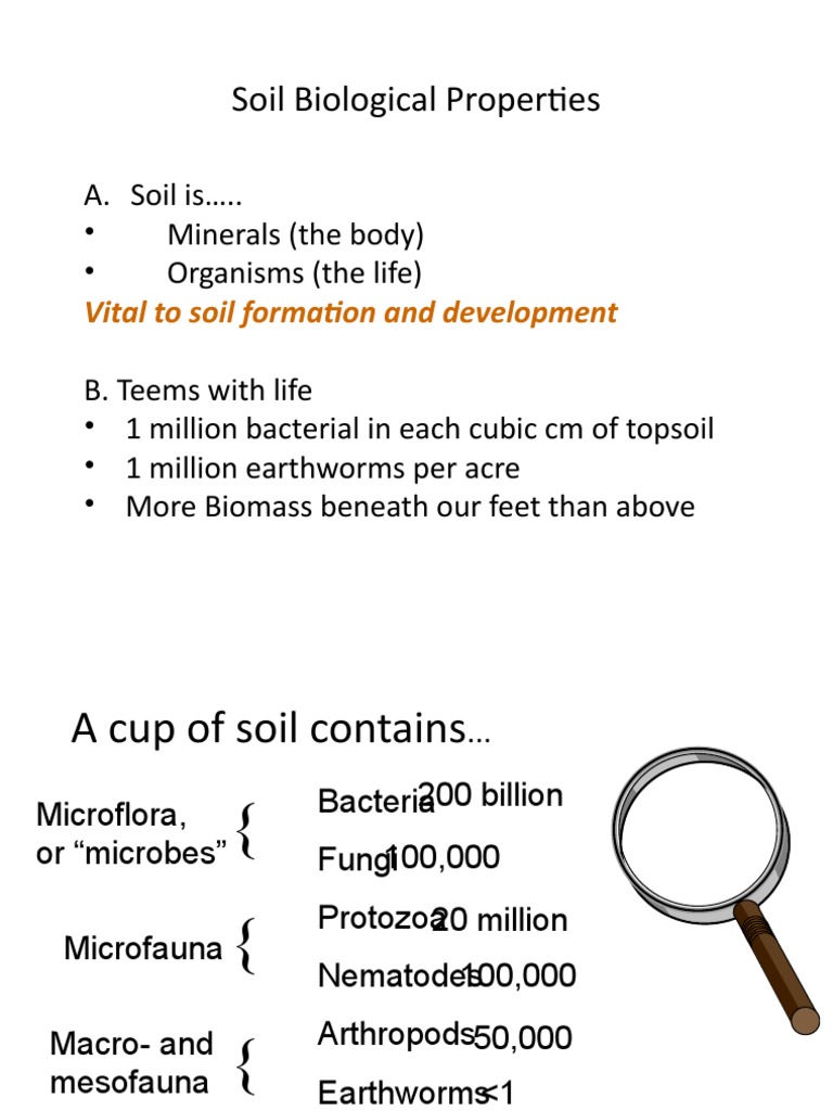 Soil Biological Properties | PDF | Soil | Organic Matter
