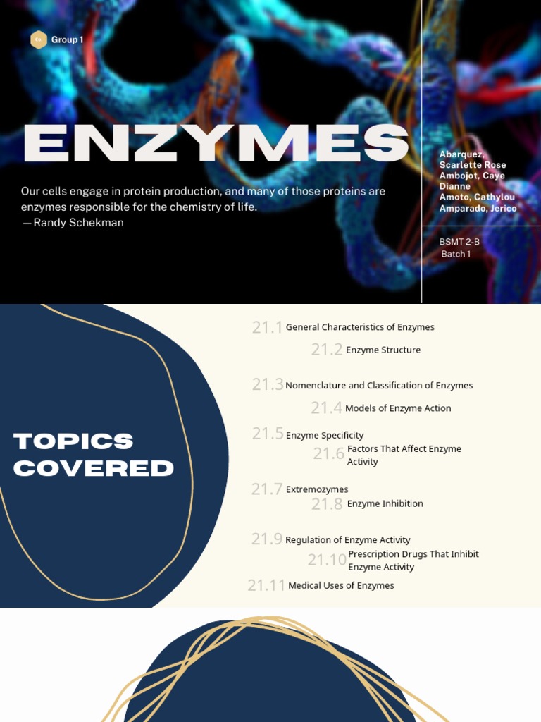 Enzymes Notes | PDF | Enzyme Inhibitor | Enzyme