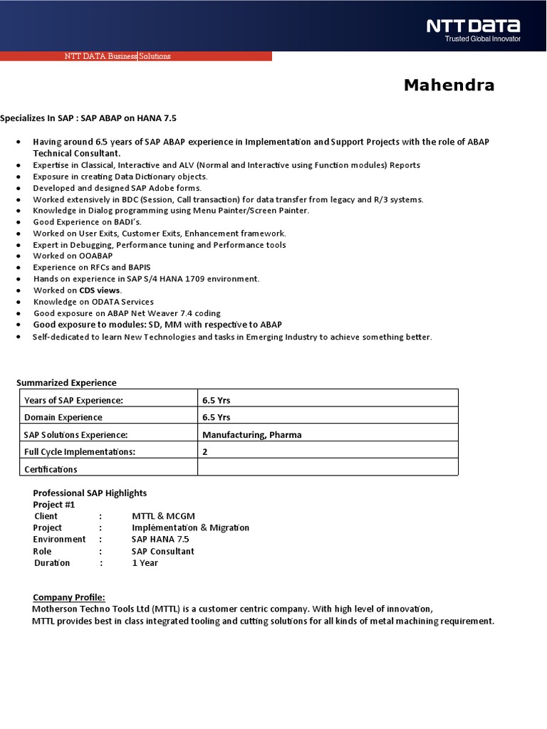 NTT CV Format-Mahendra | PDF | Specification (Technical Standard) | Invoice