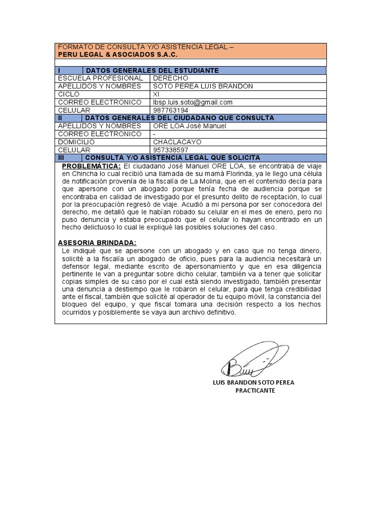 FORMATO DE CONSULTA PPT 11111 | PDF