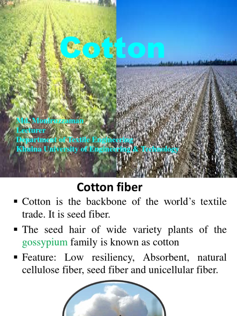 Cotton | PDF | Cotton | Polymers