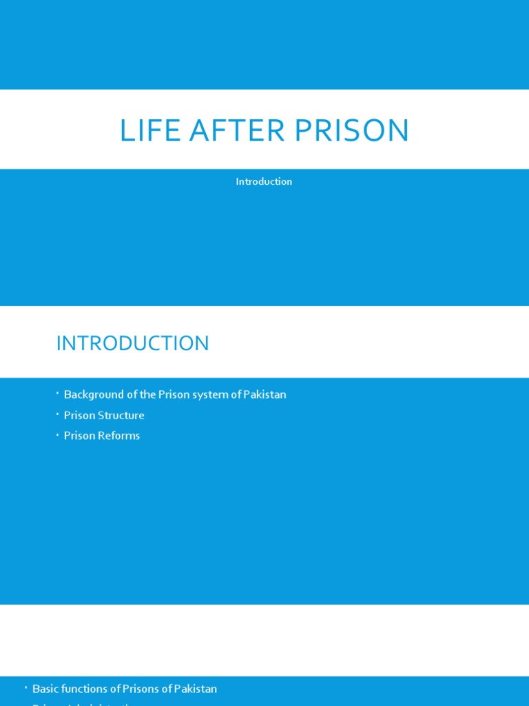 Life After Prison | PDF