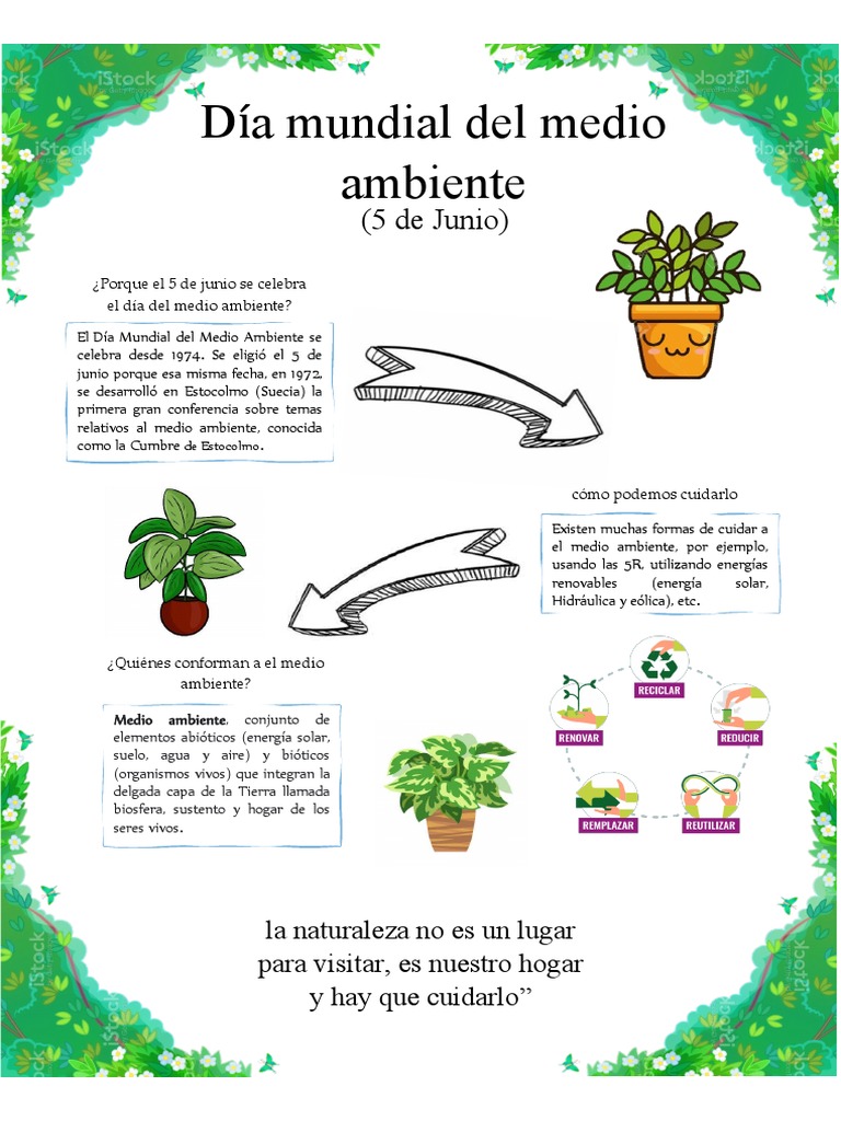 AFICHE (Dia Mundial Del Medio Ambiente) | PDF