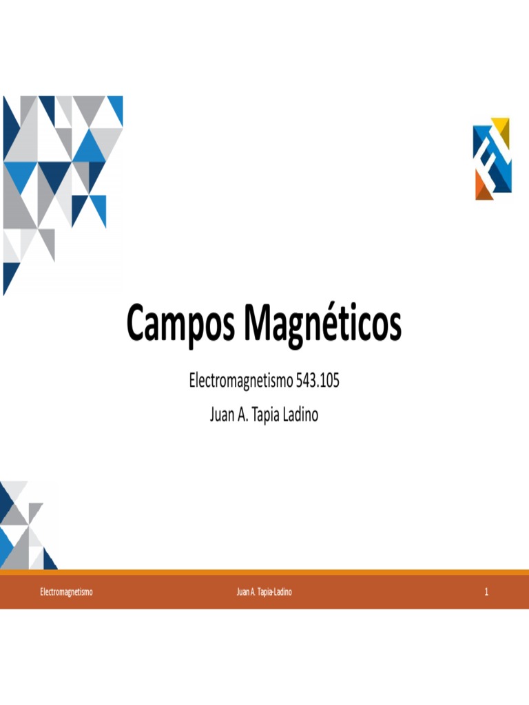 Campos Magneticos | PDF | Campo magnético | Magnetismo