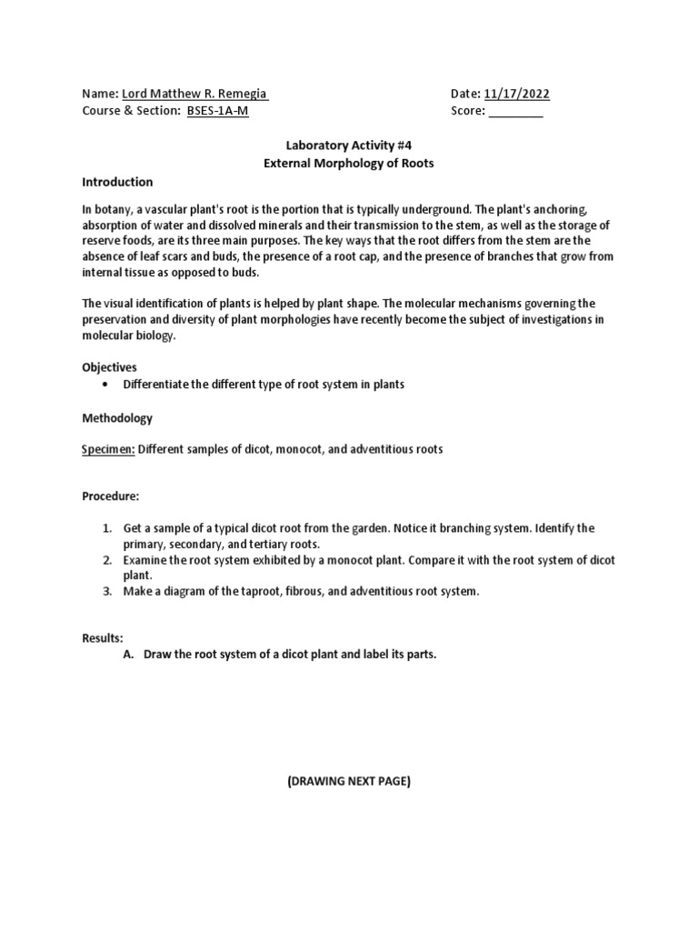 Specialized Stems | Download Free PDF | Root | Plants