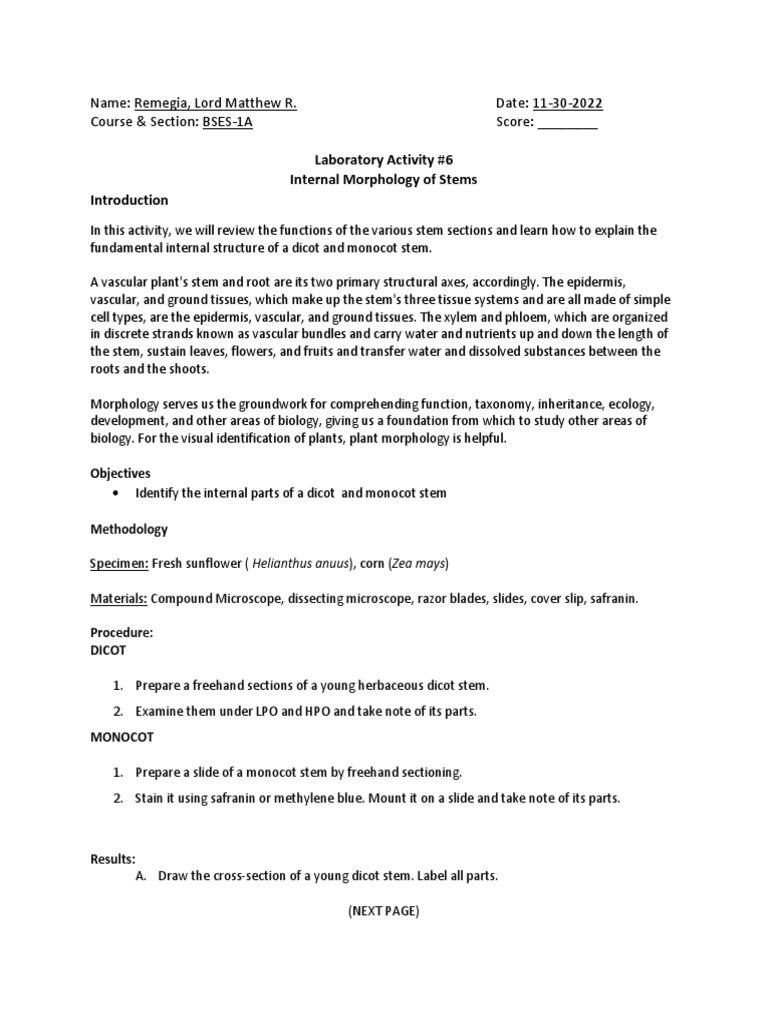 Internal Morphology of Stems | PDF | Plant Stem | Tissue (Biology)
