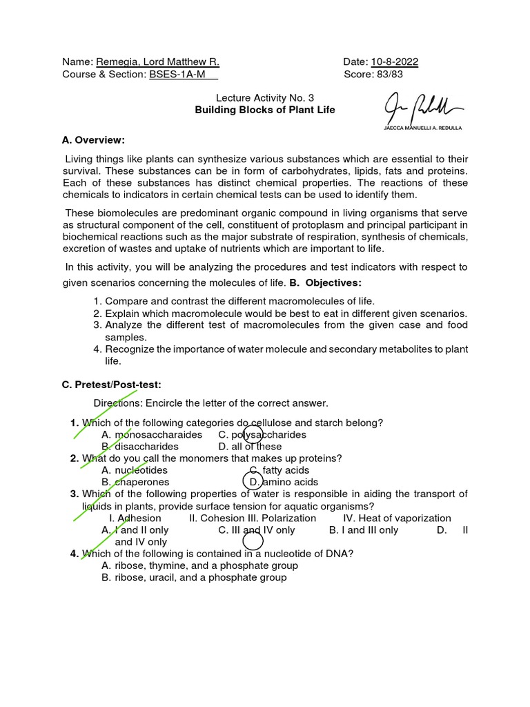 Lecture Activity No 3 Building Blocks Of Plant Life Pdf Chemical