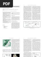 Esquema LinkedIn | PDF