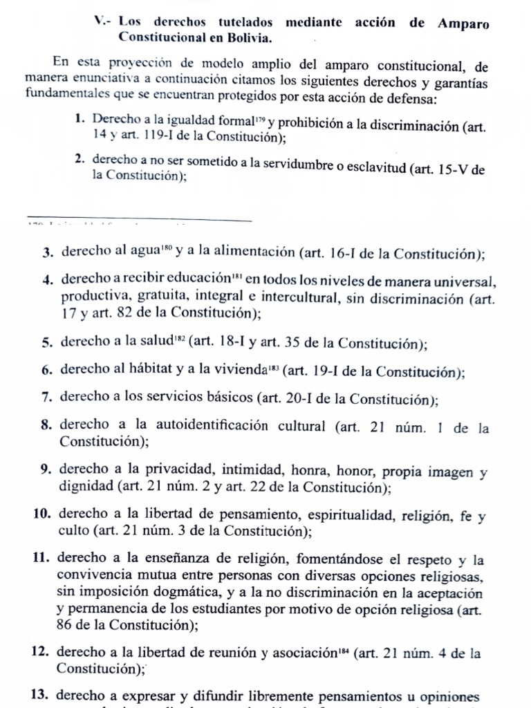 Derechos Protegidos Por El Amparo Constitucional | PDF | Matrimonio | Ciencias Políticas