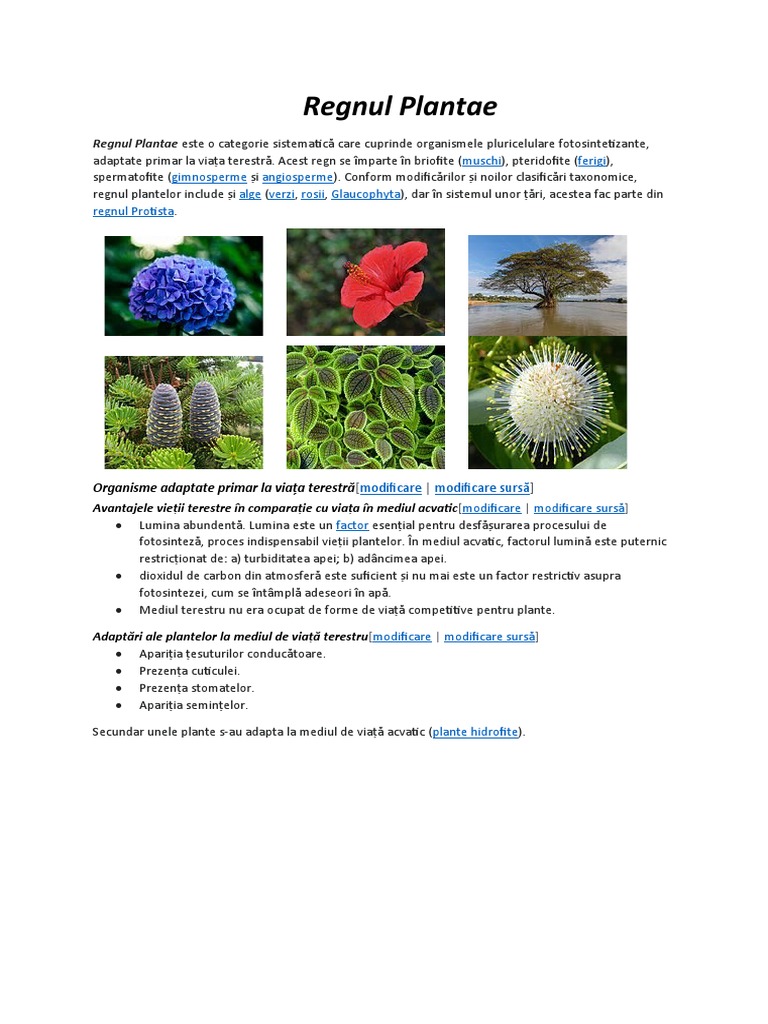 Regnul Plantae Prezentare Cu Imagini | PDF